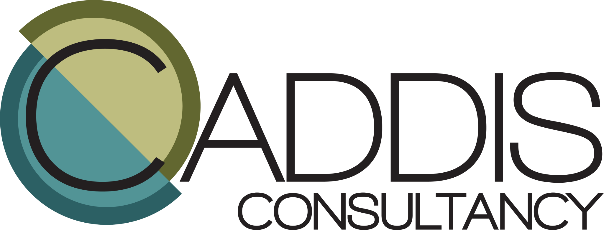 Home - Caddis Consulting